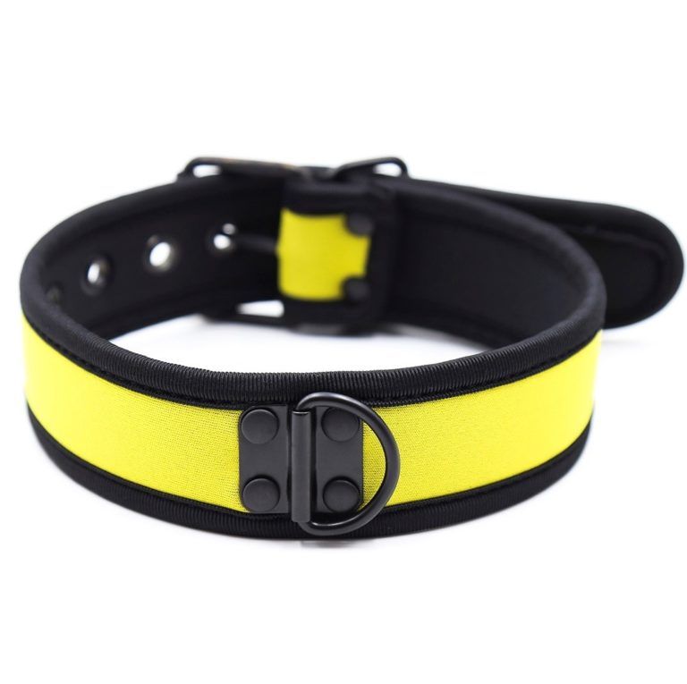 pup collar - human puppy play collar.
